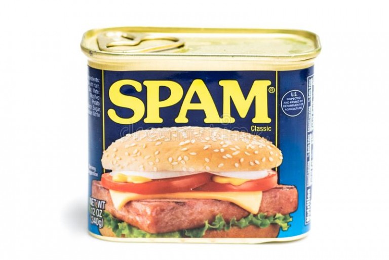 O que é Spam? | Seletronic