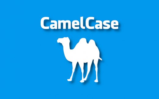 O que é CamelCase? | Seletronic