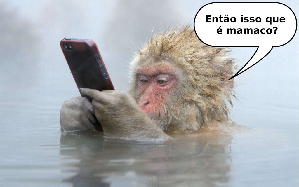 O que é mamaco? | Seletronic