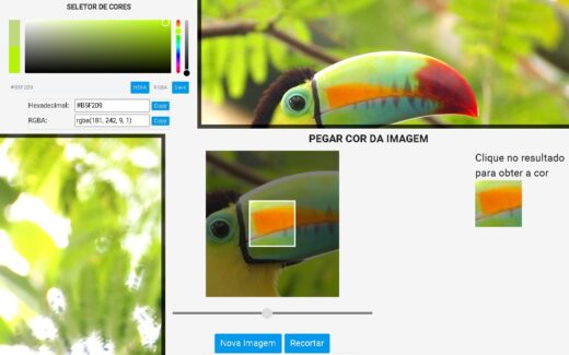 Tutorial: Como Pegar a Cor de uma Imagem Online | Seletronic